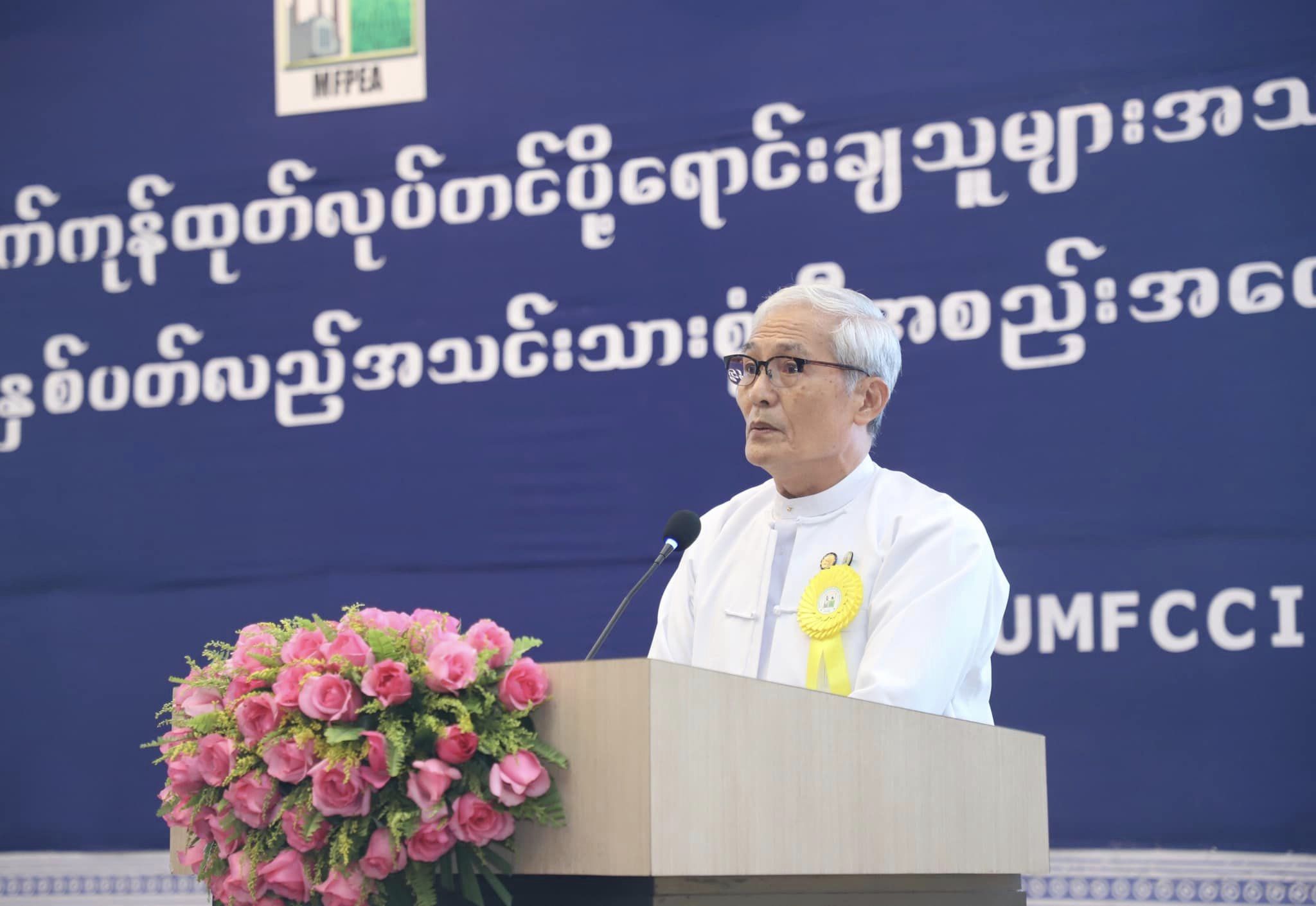 Union of Myanmar Federation of Chambers of Commerce and Industry (UMFCCI)