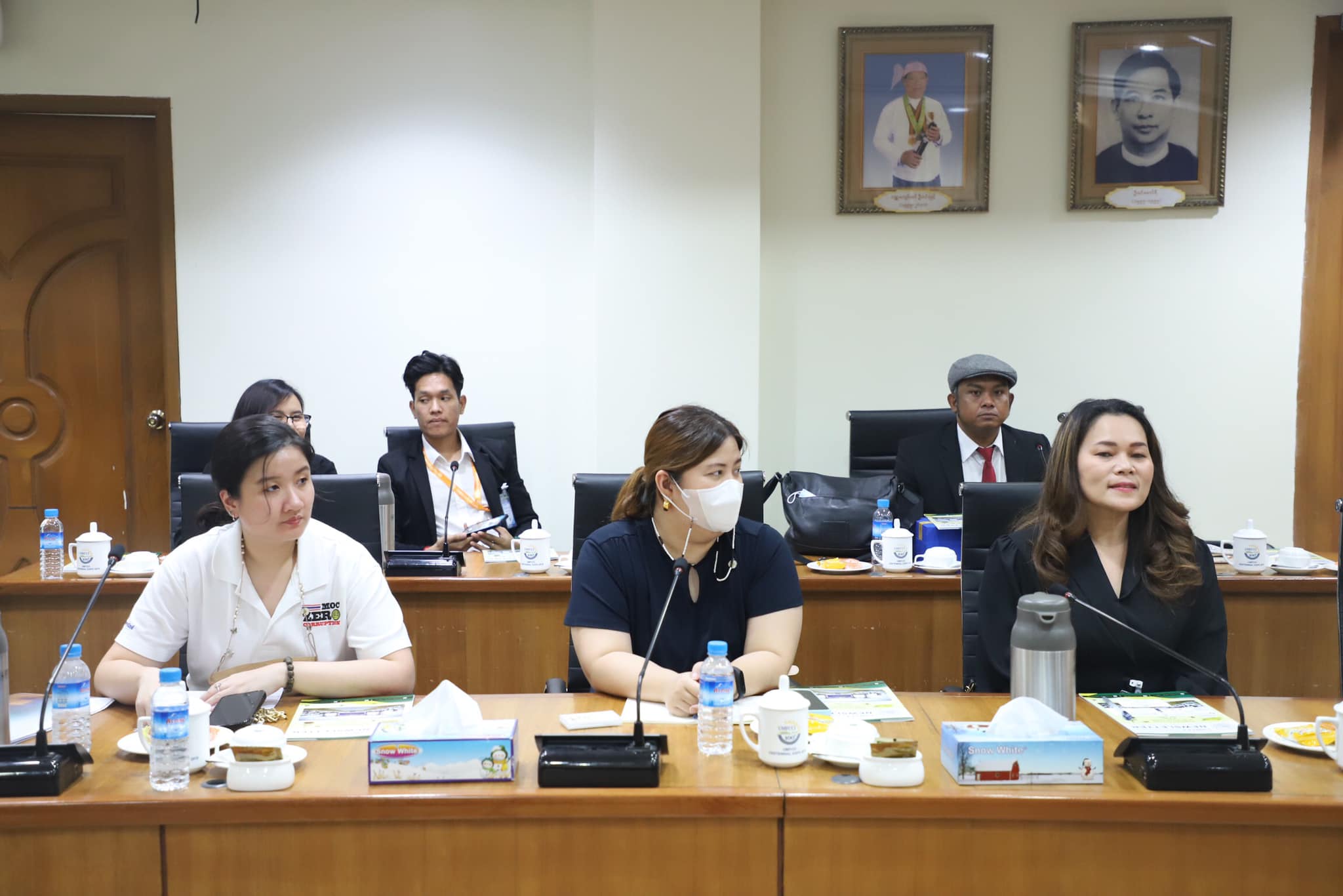 Union of Myanmar Federation of Chambers of Commerce and Industry (UMFCCI)